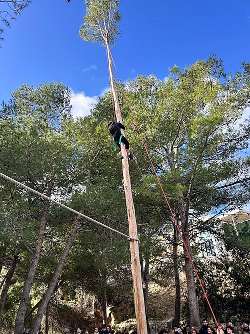 Kiefern-Klettern zu Sant Antoni auf Mallorca