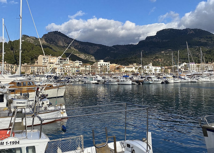 Bucht von Port de Sóller voller Boote