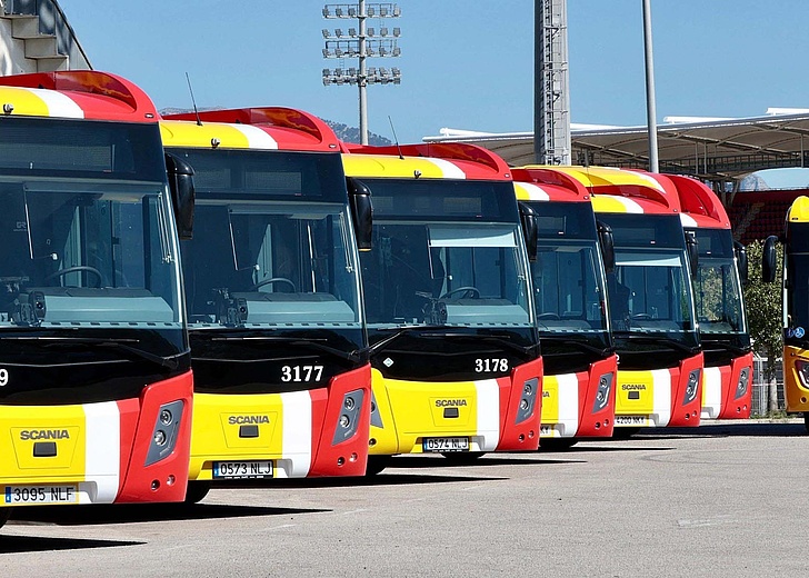 Elf TIB-Linien nehmen den Sommerbetrieb wieder auf
